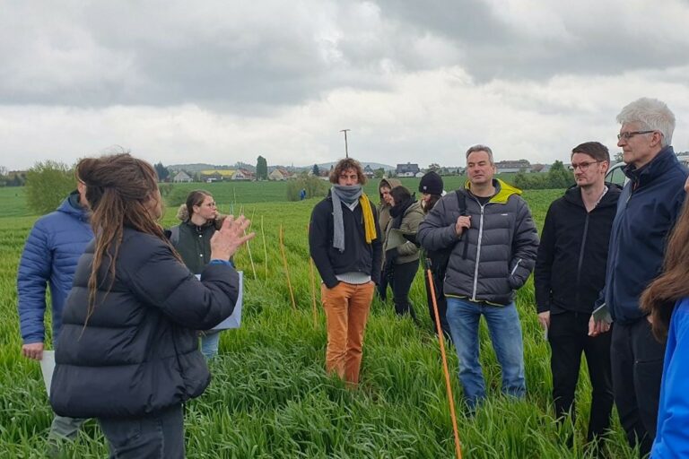 Crop diversification through intercropping – Landscape Solutions